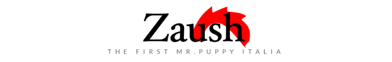 Interview with Zaush: Mister Puppy Italy 2017